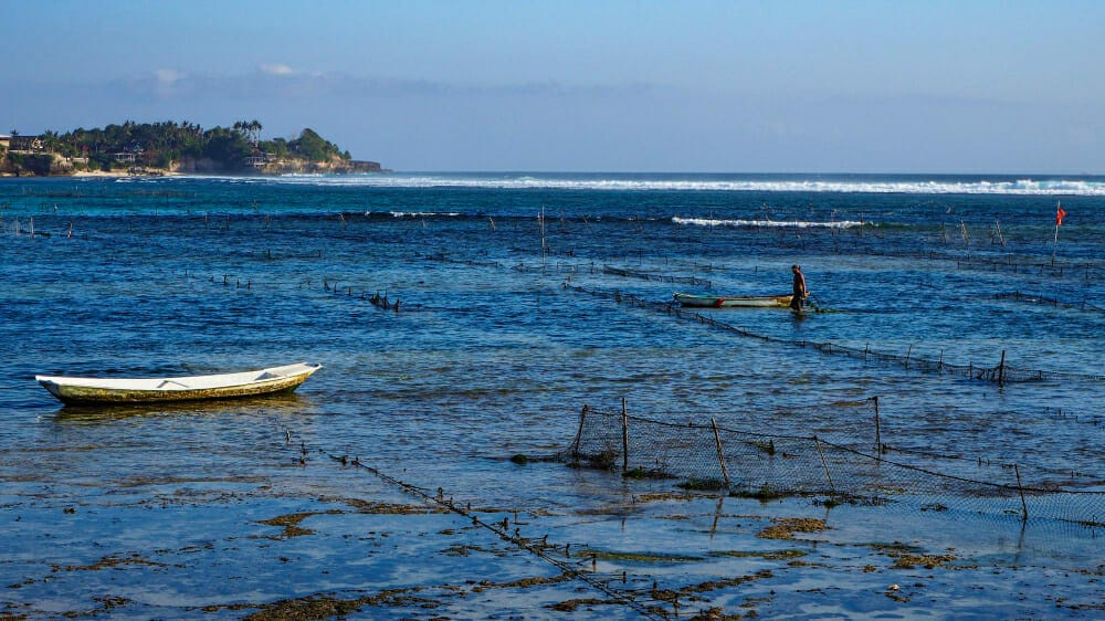 Quand partir à Bali ? moment idéal, climat, météo - Paradis-express.com